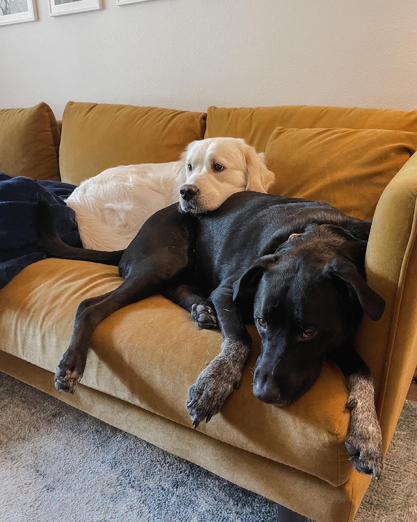 Interview with Actor Briggon Snow - Geeks OUT